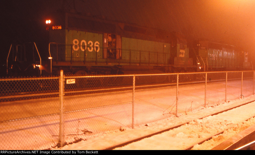 Waiting under the lights